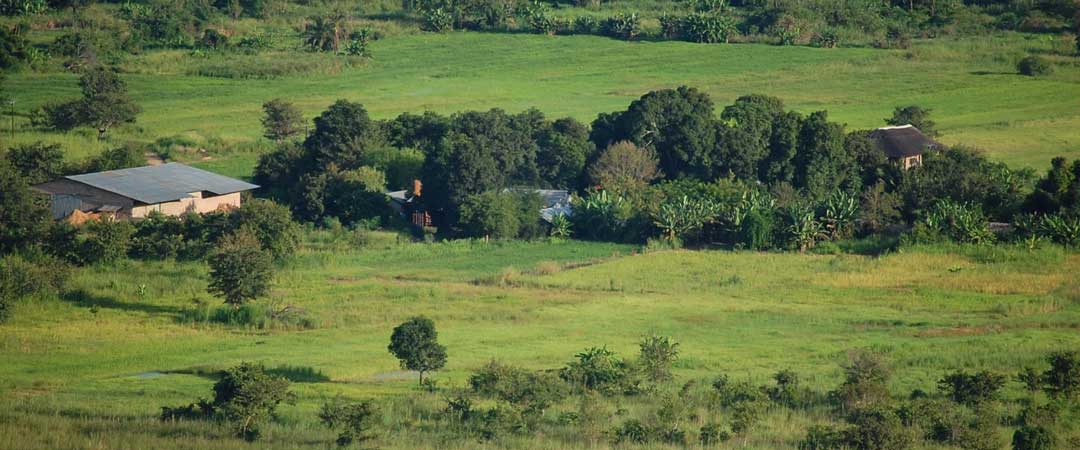 Rundbrief aus Mpanga, im Juni 2018 | Mpanga | Hilfe zur Selbsthilfe